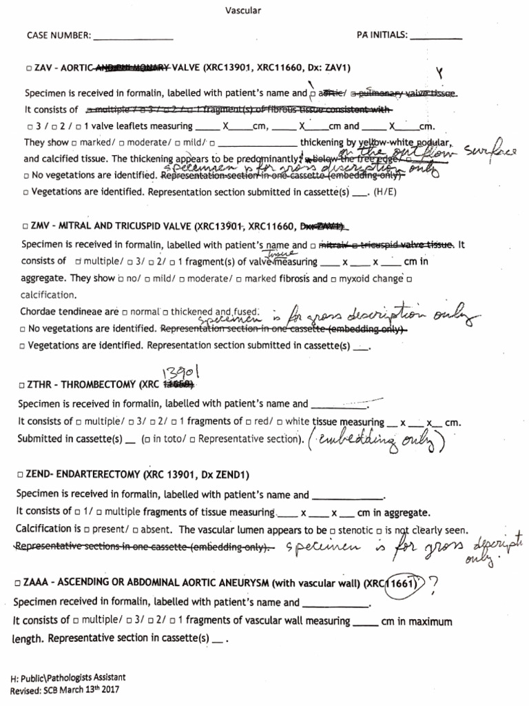 Grossing CVS Templates Reviewed Dec. 06, 2021 | PDF | Cardiovascular ...