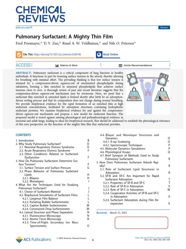 Pulmonary Surfactant Insights | PDF | Lung | Respiratory Diseases