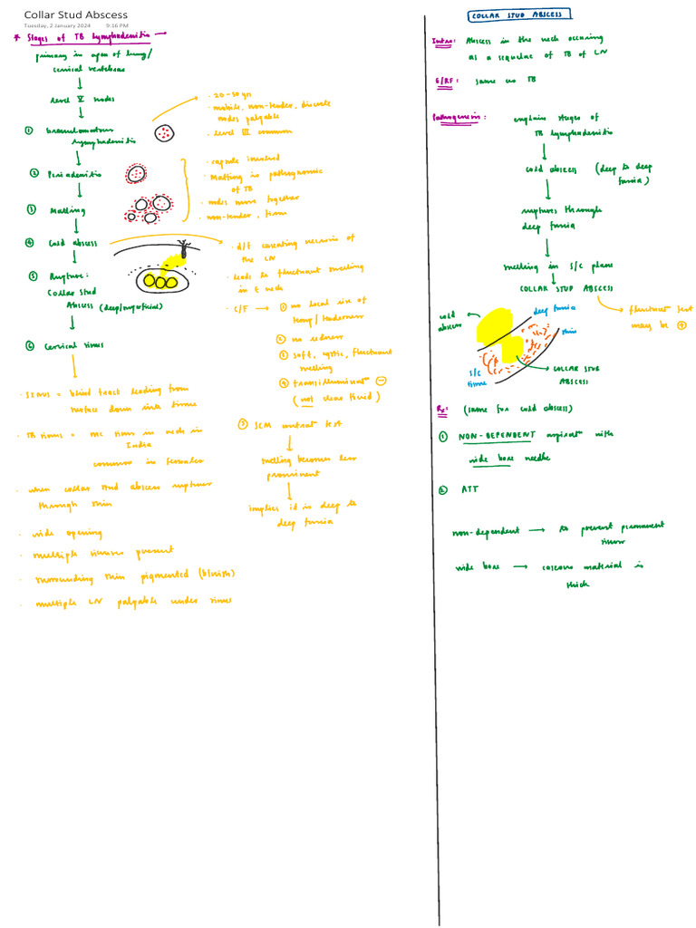Collar Stud Abscess Guide | PDF