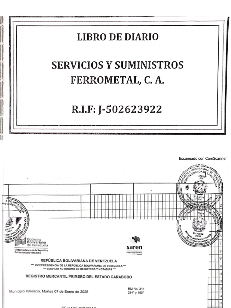 Libro Diario | PDF