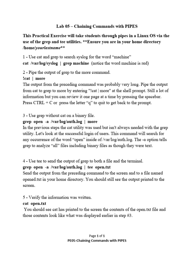 PE05-Chaining Commands With PIPES | PDF