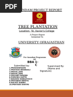 UU200 Group Report | PDF | Mangrove | Coral Reef