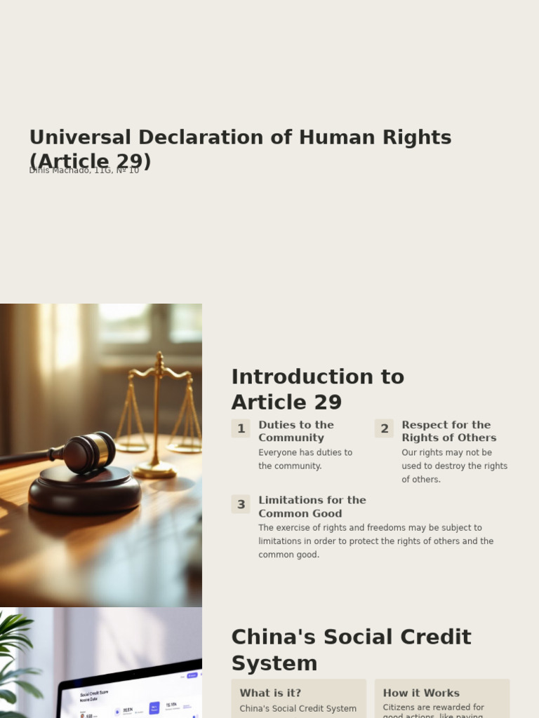 Article 29 and China's Social Credit System | PDF | Human Rights | Privacy