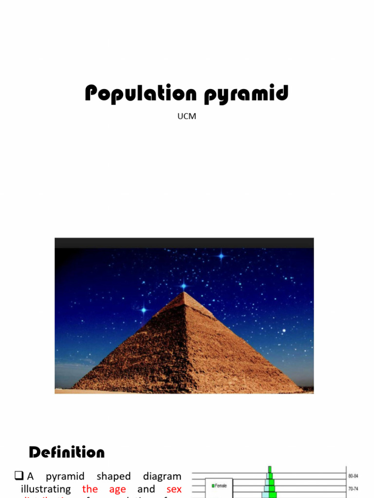 Population Pyramid Lecture | PDF