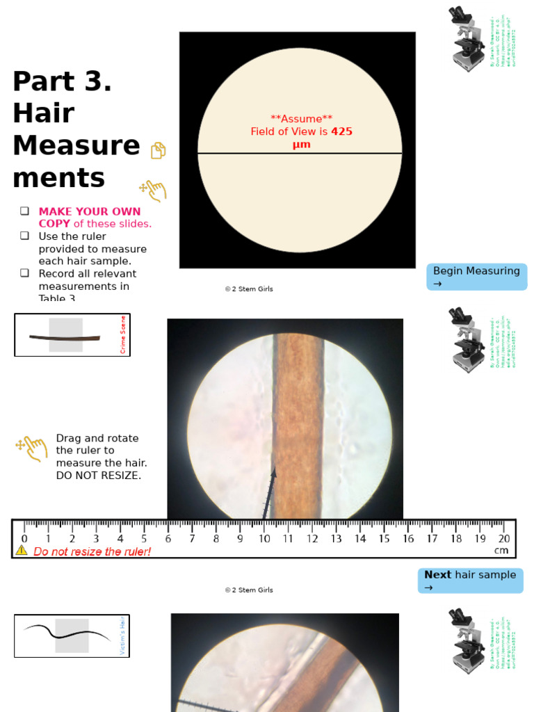Hair Analysis for Crime Scene Investigation | PDF | Criminology | Law ...