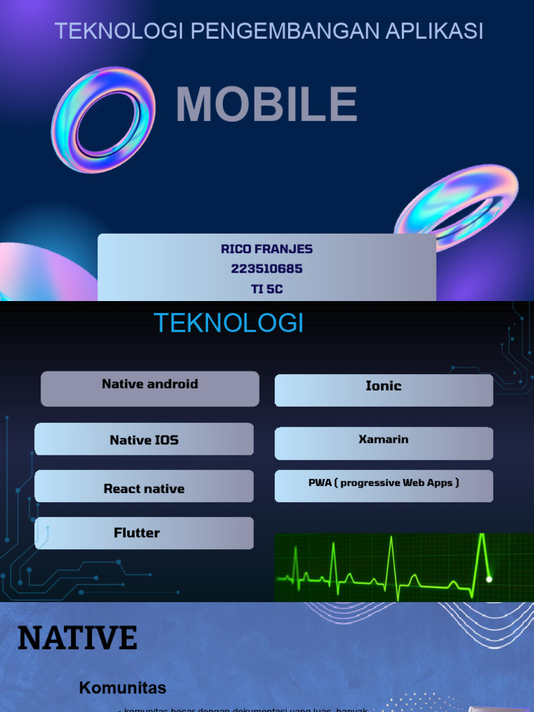 ricofranjes)_223510685_5C | PDF