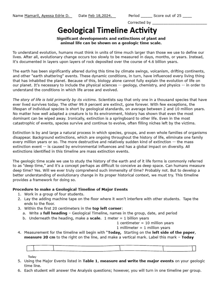 Mamaril Geologic Timeline Activity | PDF | Evolution | Extinction