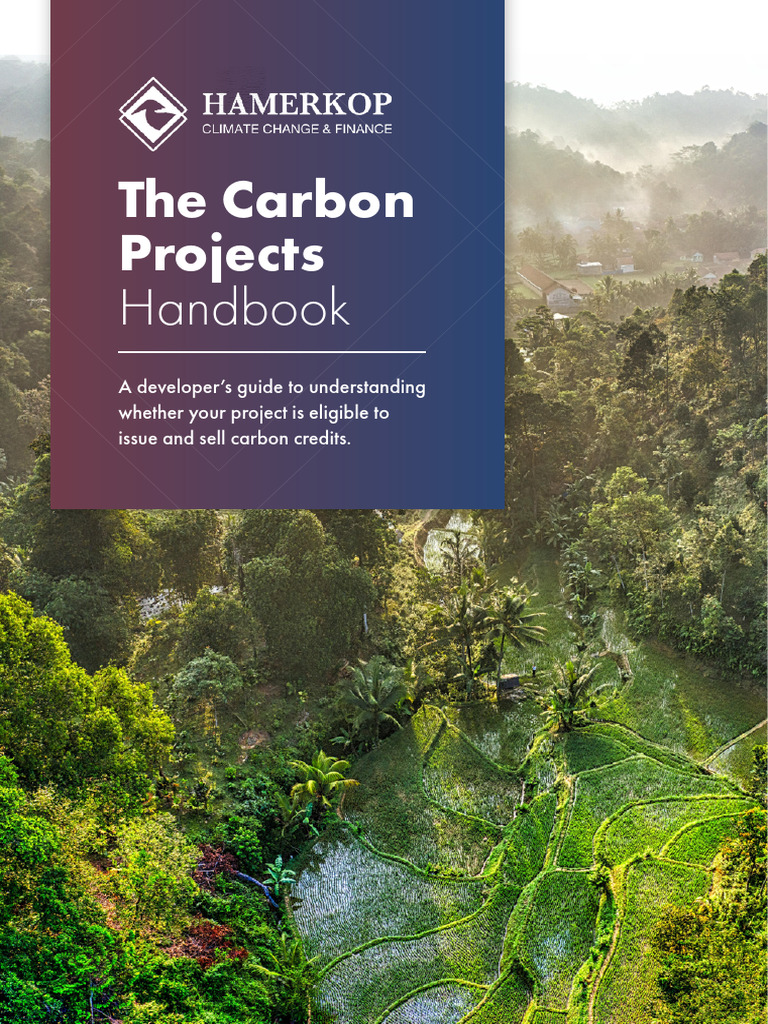 Carbon Projects Handbook Guide | PDF | Clean Development Mechanism ...