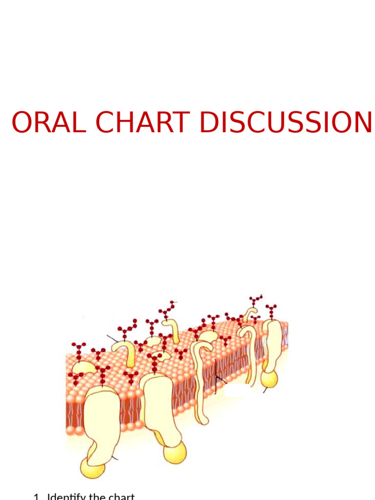 Oral Chart Discussion | PDF