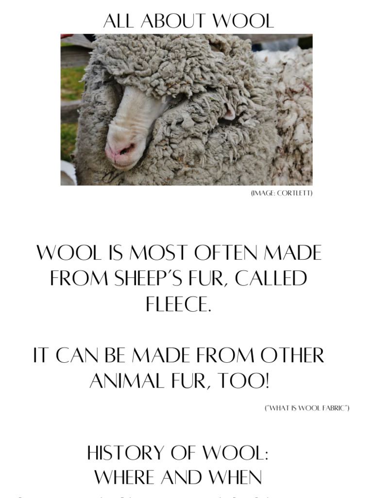 history of wool | PDF | Yarn | Wool