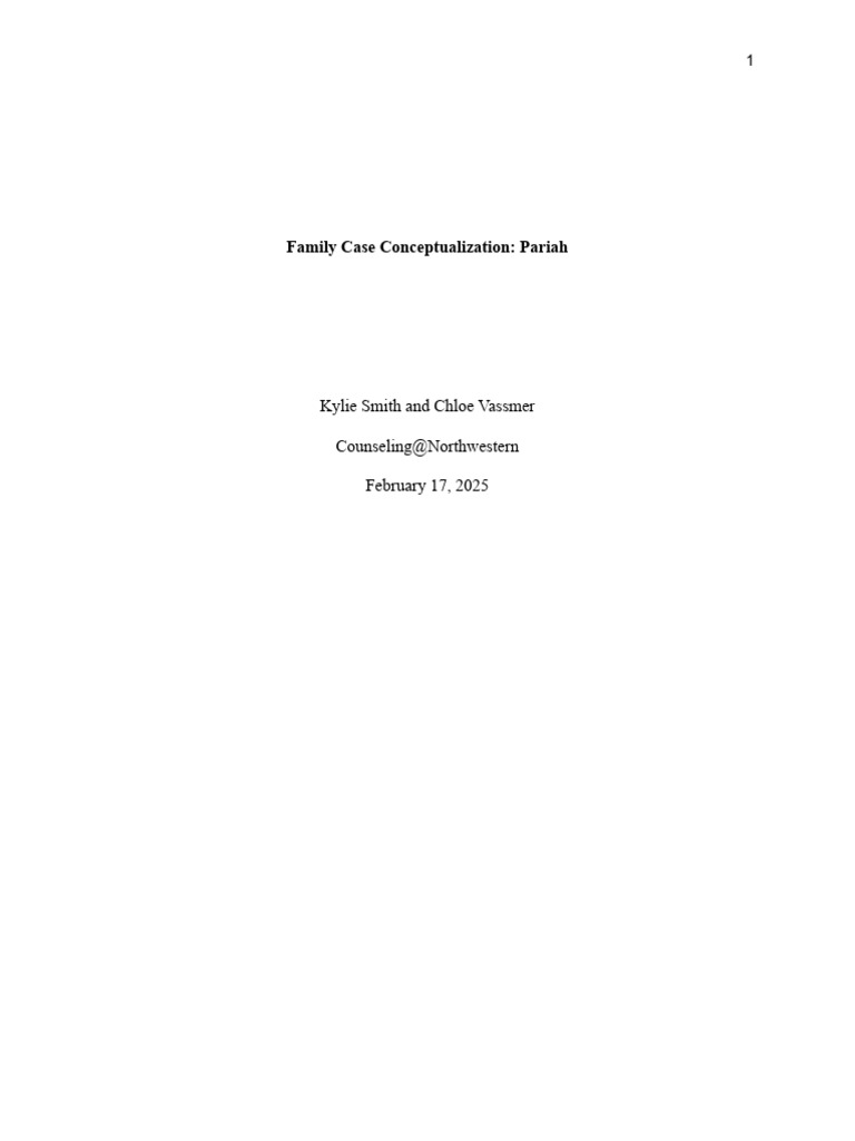 Chloe - Vassmer - FCC Case Conceptualization | PDF | Identity (Social Science) | Gender