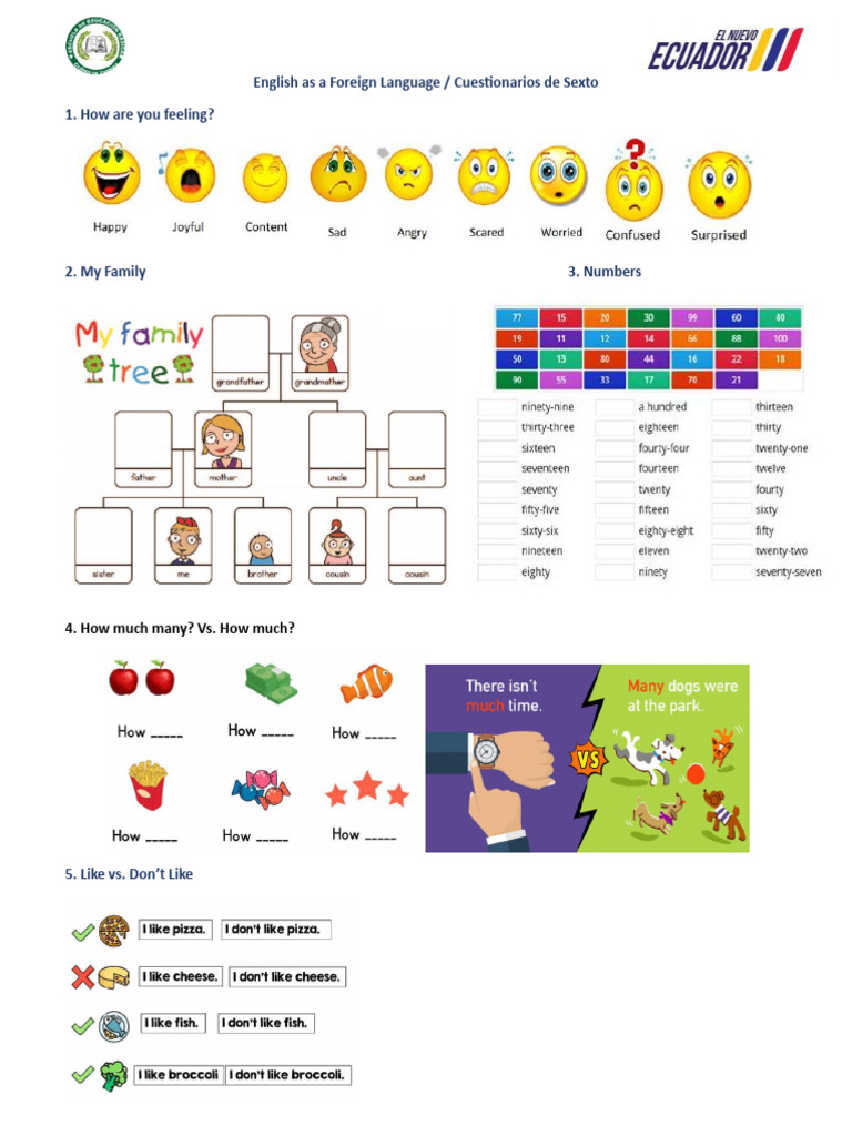 Cuestionarios 3 T 6 | PDF