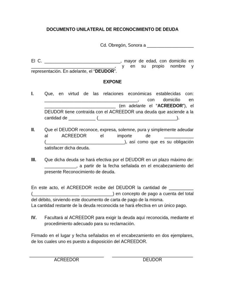 Documento Unilateral de Reconocimiento de Deuda | PDF