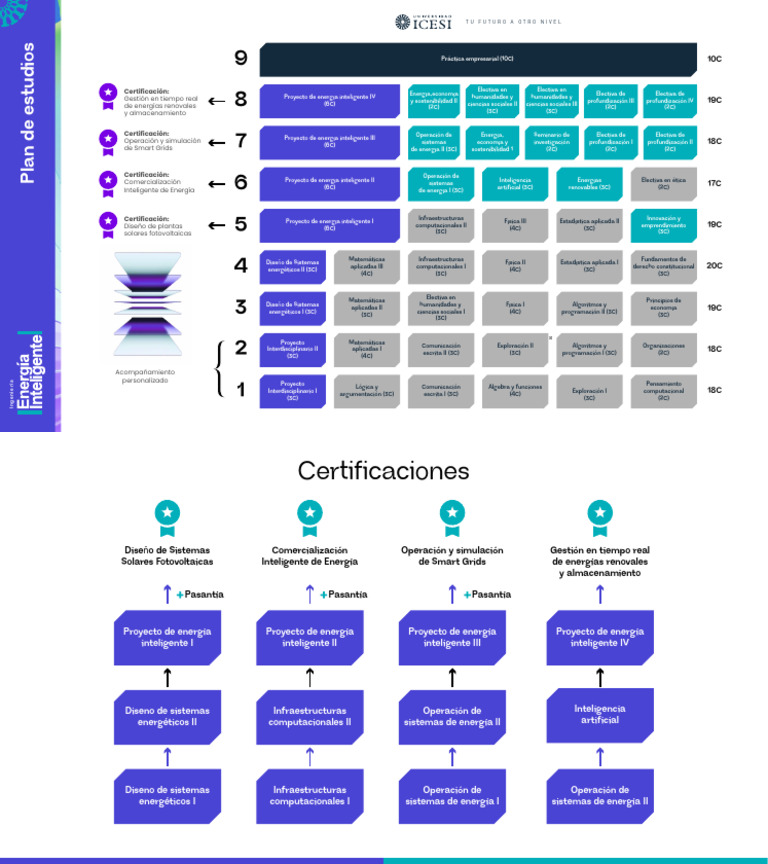 IEI - Plan de Estudios | PDF