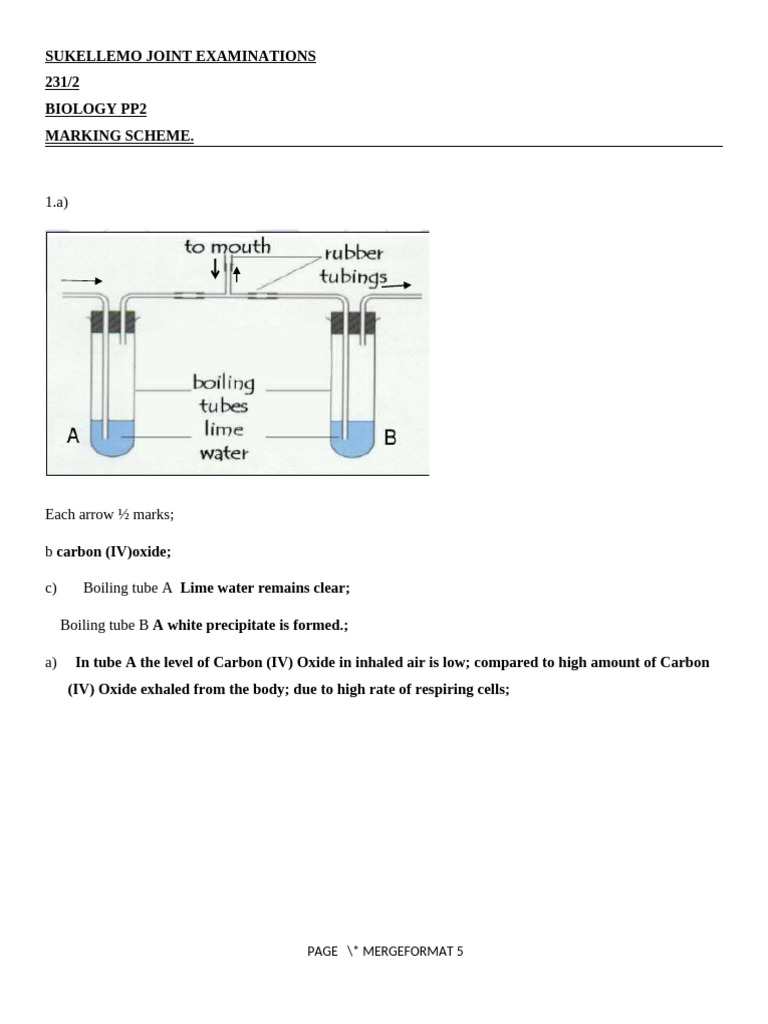 Biology PP2 MS | PDF | Human Digestive System | Gastrointestinal Tract