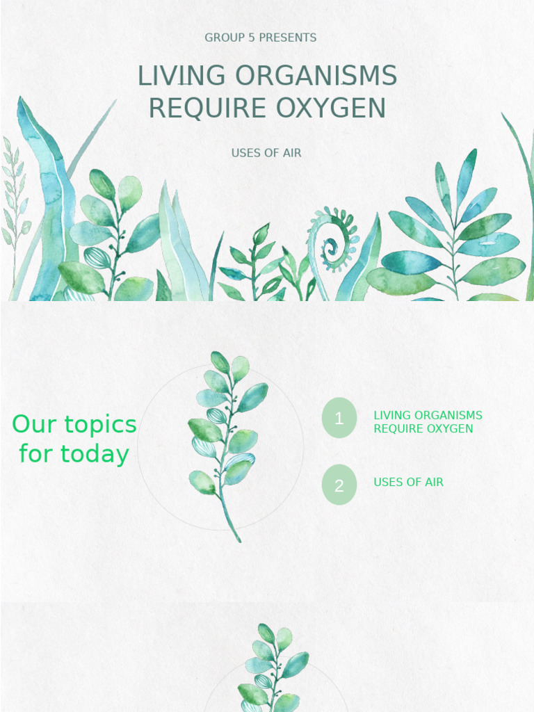 Importance of Oxygen for Life | PDF