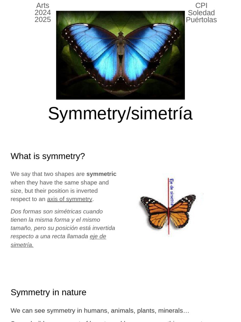 Understanding Symmetry in Art and Nature | PDF