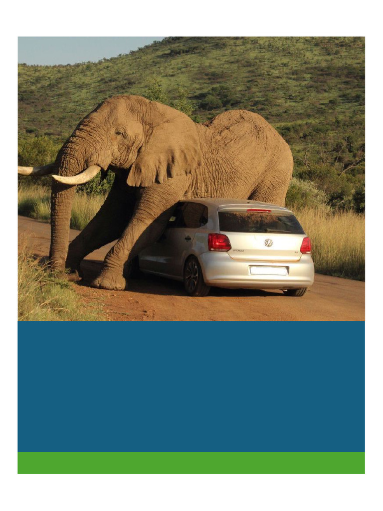 Pilanesberg Igneous Complex Study | PDF | Volcano | Ecosystem