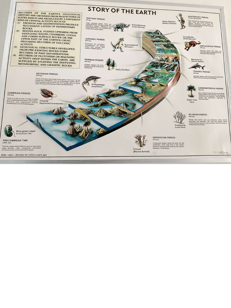 Image To pdf1885068082305600203 | PDF