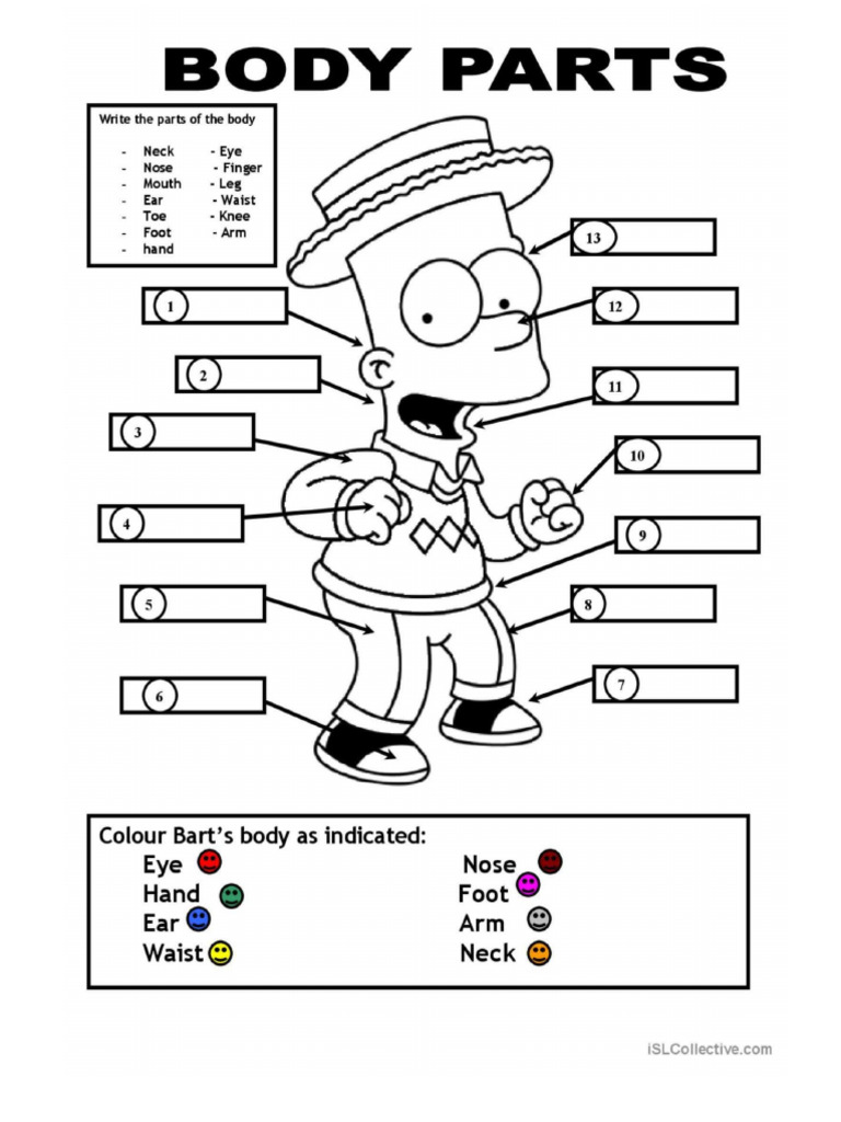 Body Parts - Shapes | PDF