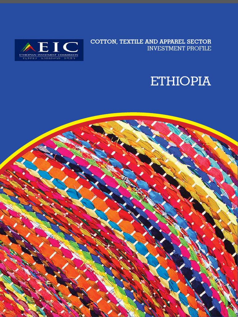 SITA Ethiopia CTA Booklet Final Web Page | PDF | Fiscal Policy | Ethiopia
