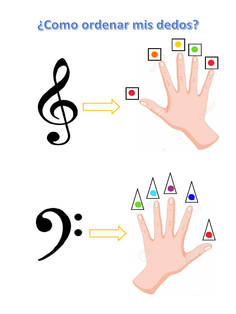 Como Ordenar Mis Dedos | PDF