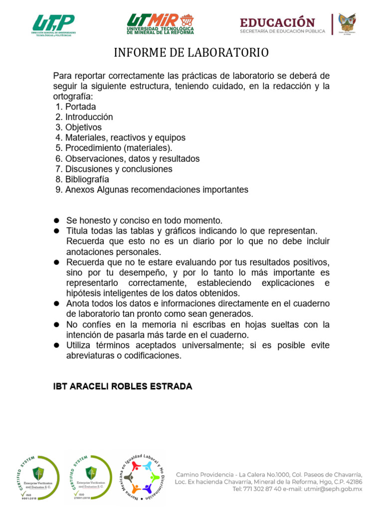 Estructura de Reporte | PDF