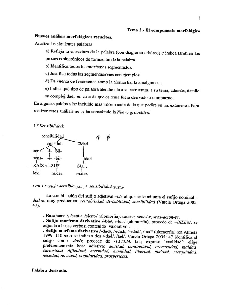 8.Nuevos_analisis_morfologicos_resueltos | PDF