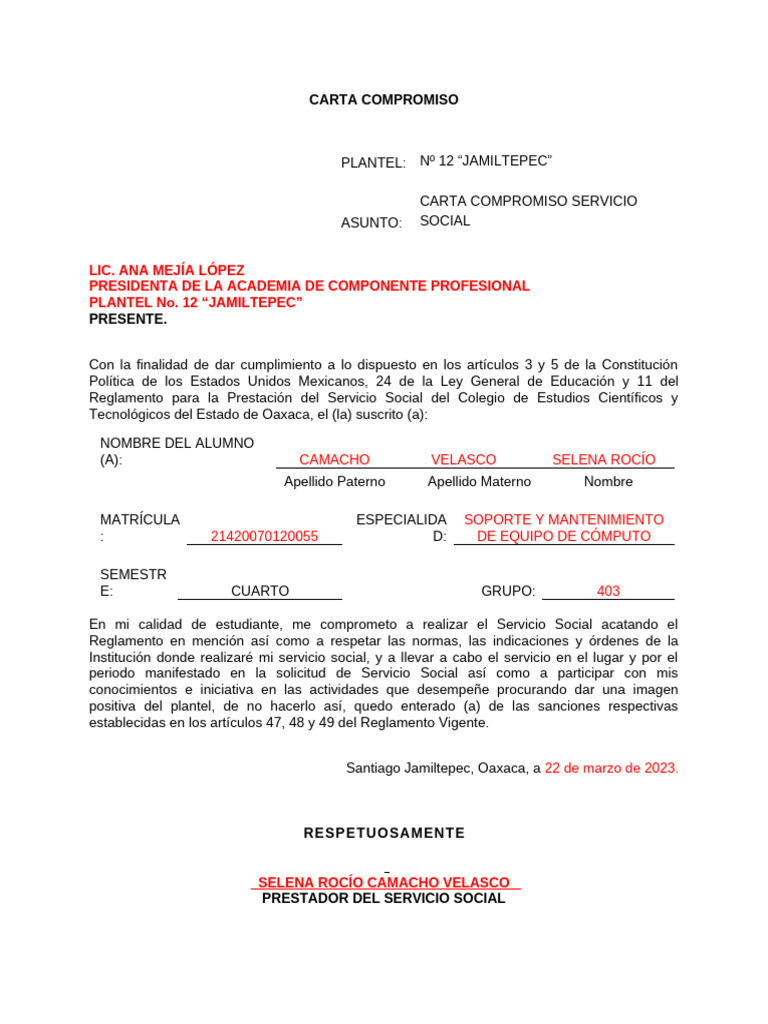 4 Formato-Carta Compromiso | PDF