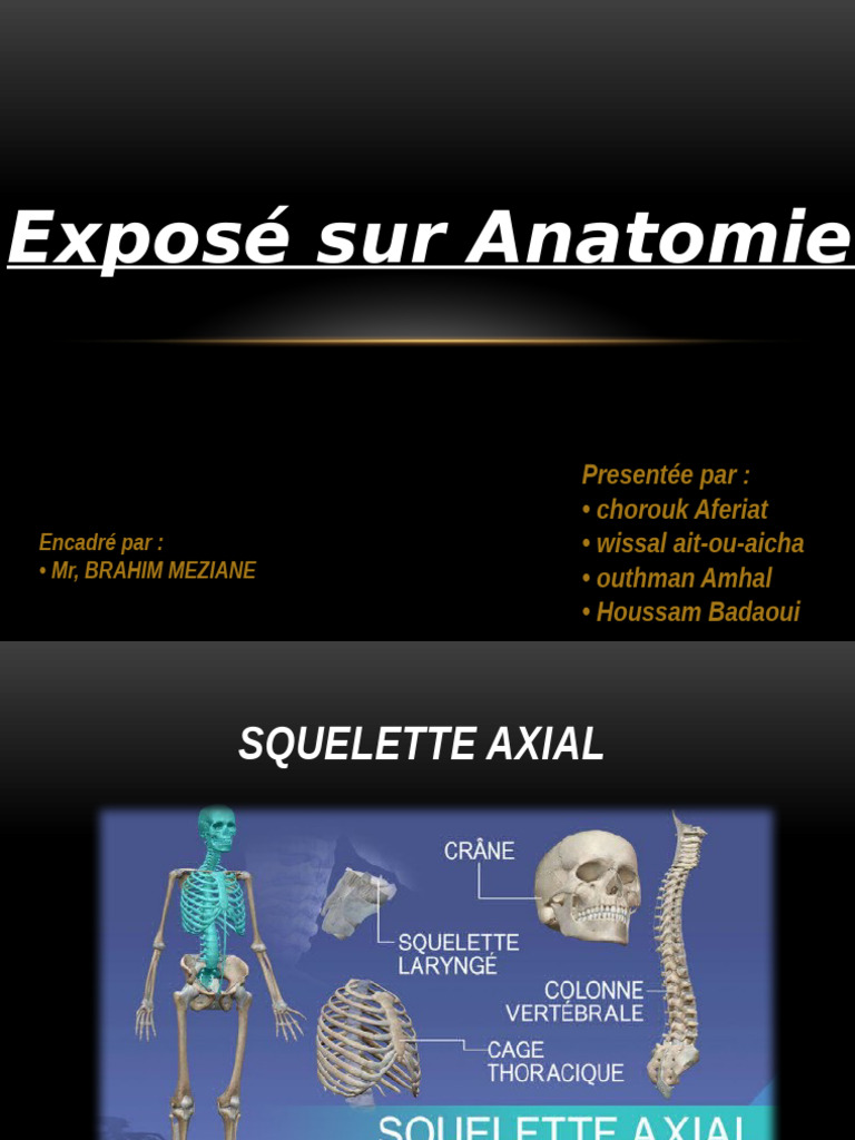 Anatomie du Squelette Axial et Appendiculaire | PDF | Articulation ...