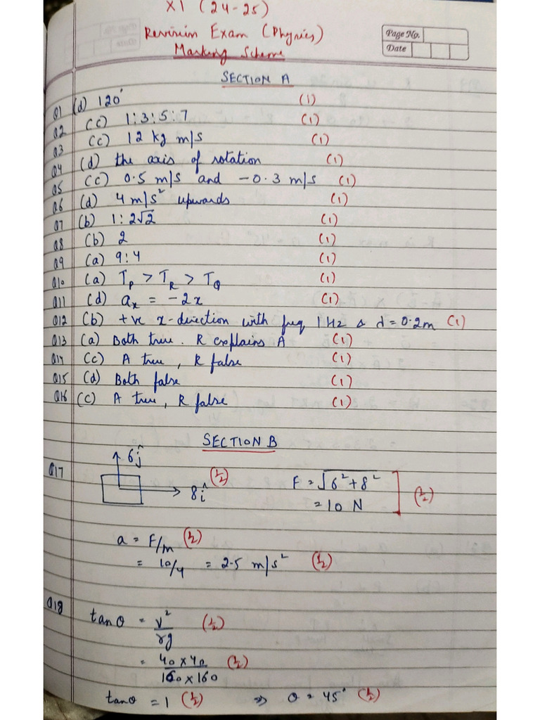 XI - Revision Exam - MS (24-25) | PDF