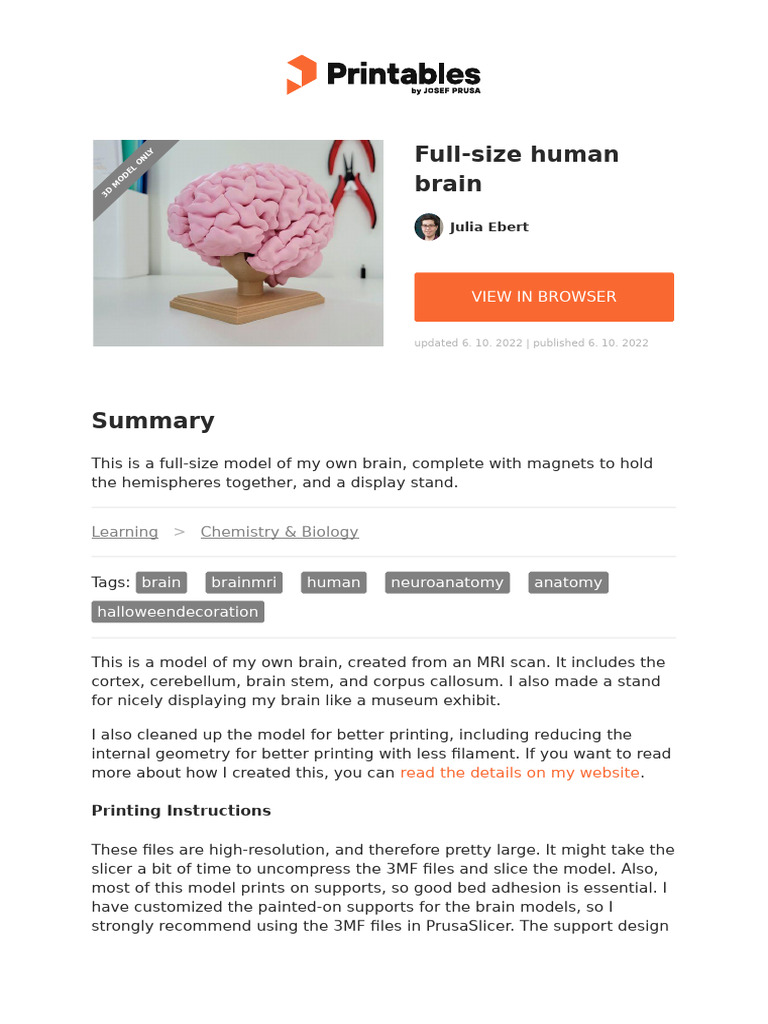 Full Size Human Brain | PDF | Neuroscience