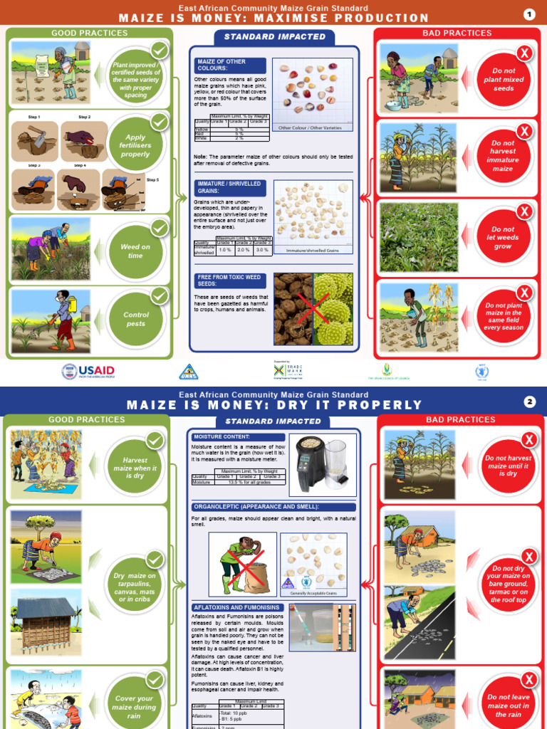 EAC Maize Standard Posters For Farmers | PDF | Maize | Cereals