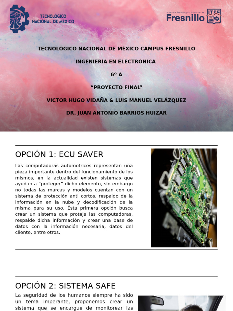 Propuesta de Proyecto Final | PDF
