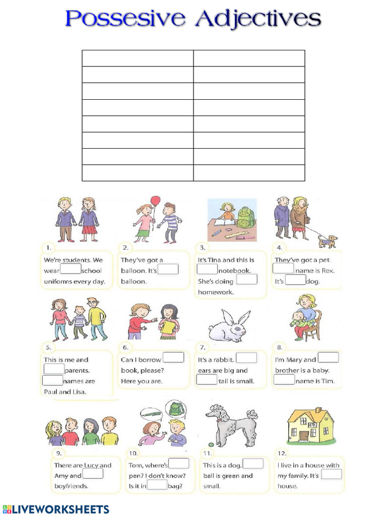Understanding Possessive Adjectives | PDF