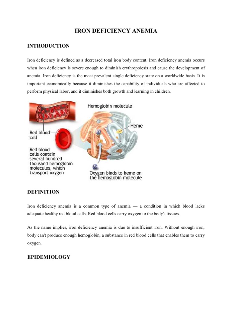 Iron Deficiency Anemia Pdf Anemia Red Blood Cell