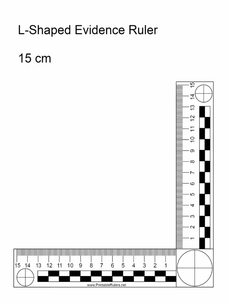 Evidence Ruler 15 Centimeters | PDF