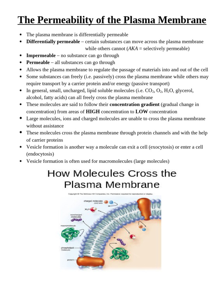 Diffusion and Osmosis | PDF | Osmosis | Cell Membrane