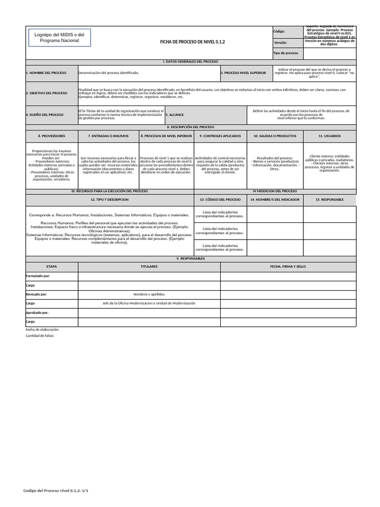 Ficha de Proceso Nivel 0, 1 y 2 | PDF | Calidad (comercial) | Informática