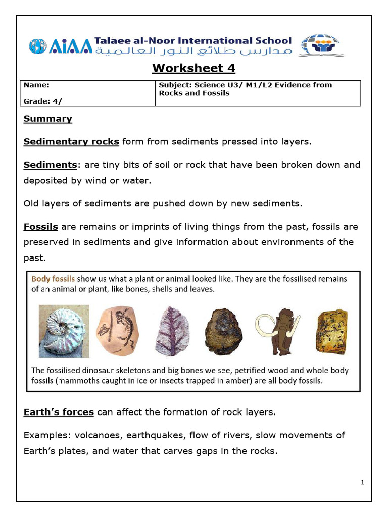 GR 4 Worksheet 4 U3 M1 L 2 Evidence From Rocks and Fossils | PDF ...