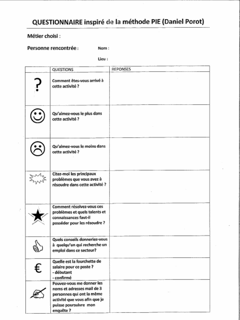 Questionnaire PIE | PDF