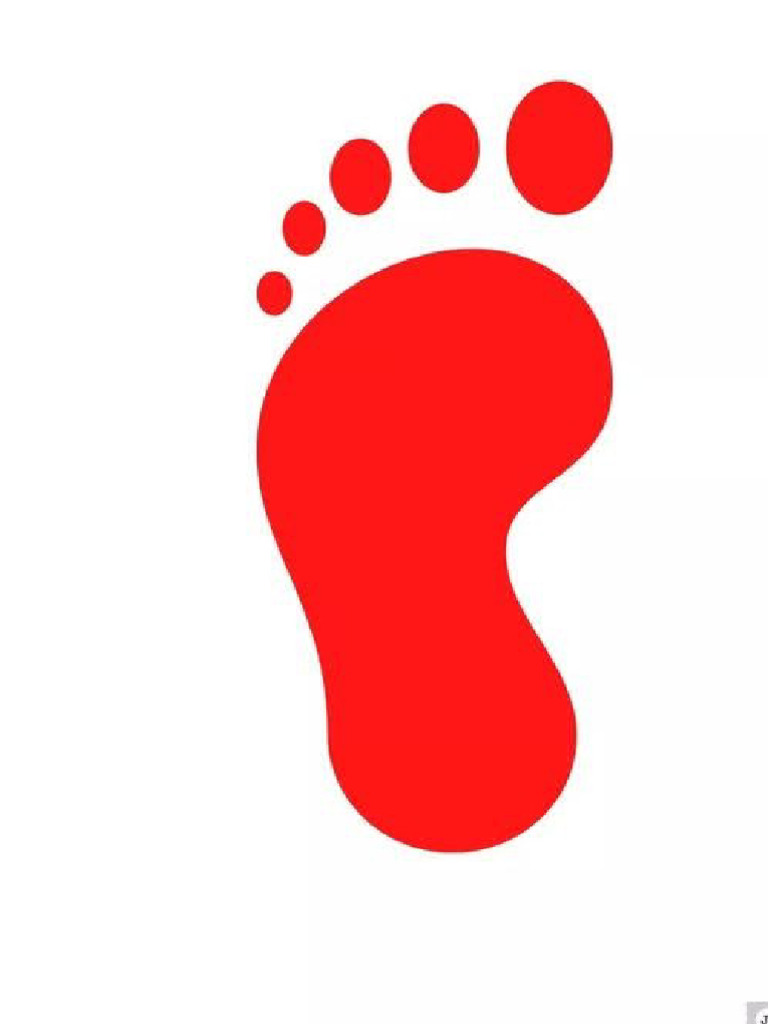1 Feet Footprint | PDF