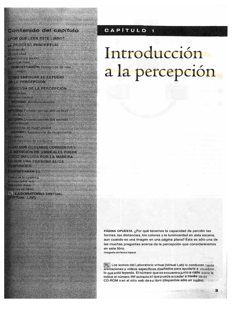 Goldstein Cap1 - Introduccion A La Percepcion | PDF | Ciencia cognitiva | Neurociencia