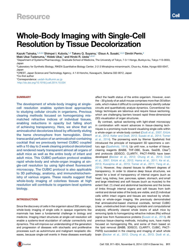 Whole-Body Imaging With Single-Cell Resolution by Tissue Decolorization ...