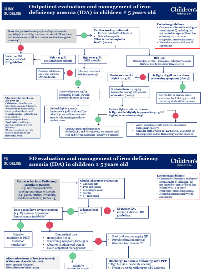 Iron Deficiency Anemia Guideline | PDF | Anemia | Diseases And Disorders