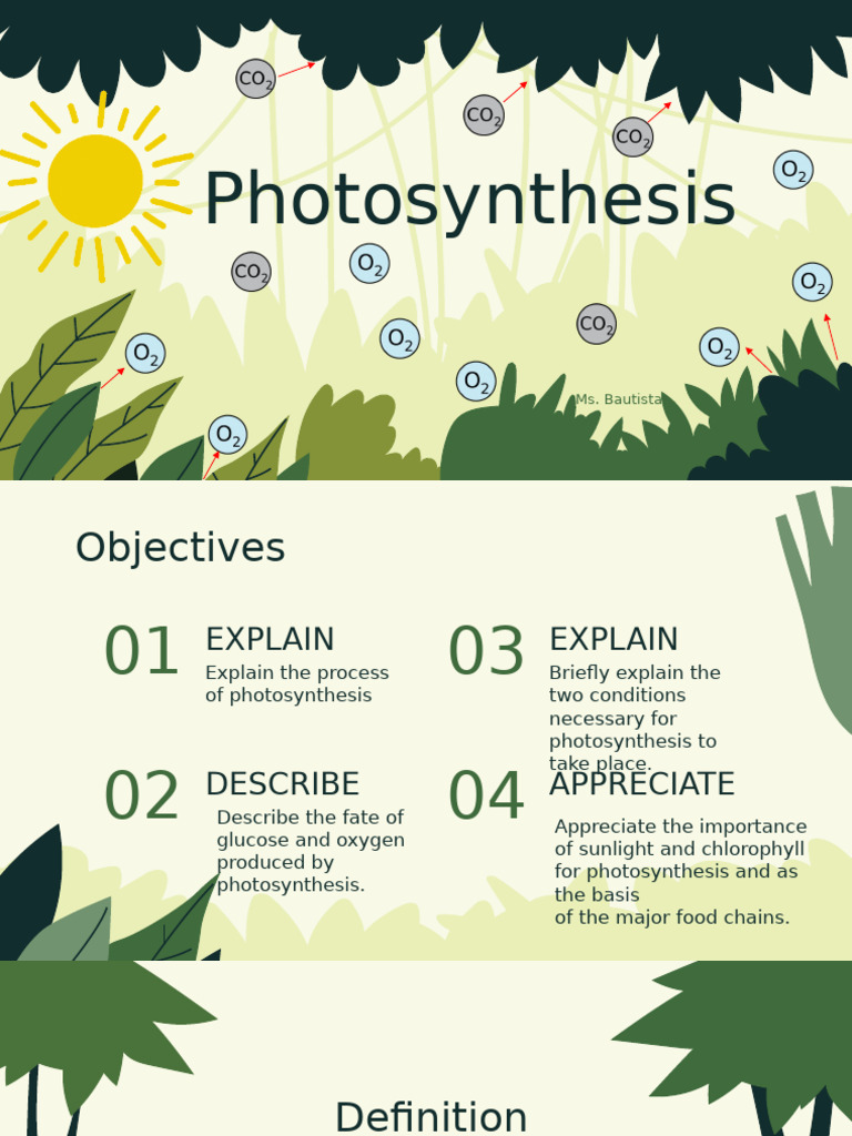 Photosynthesis - Lesson | PDF | Photosynthesis | Leaf
