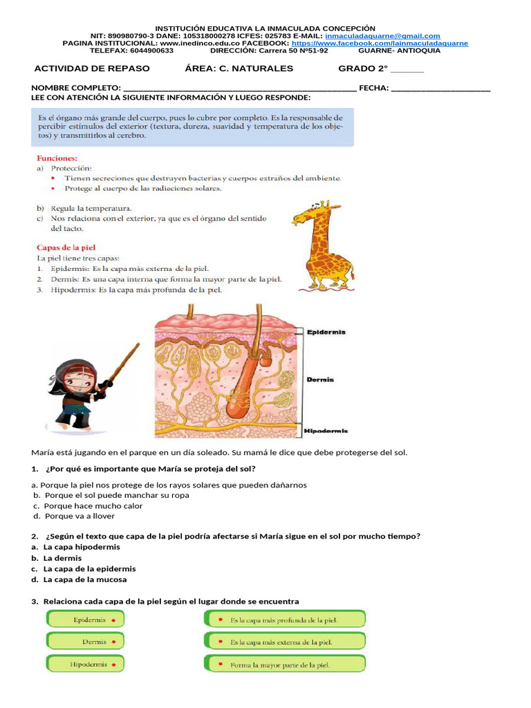 Actividad de Repaso: Ciencias Naturales 2° | PDF | Piel