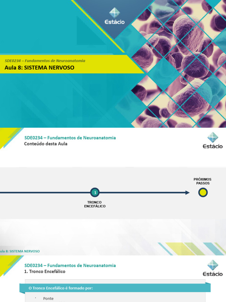 Sistema Nervoso_AULA 8-2 | PDF | Medula espinhal | Neurociência