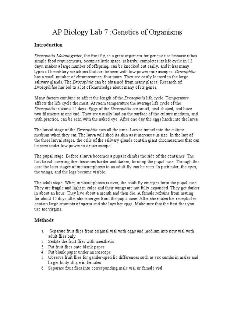 AP Bio Fruit Fly Lab | PDF | Pupa | Drosophila Melanogaster