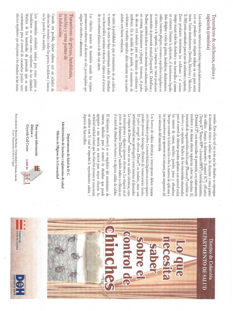 Spanish Bed Bug Flyer | PDF